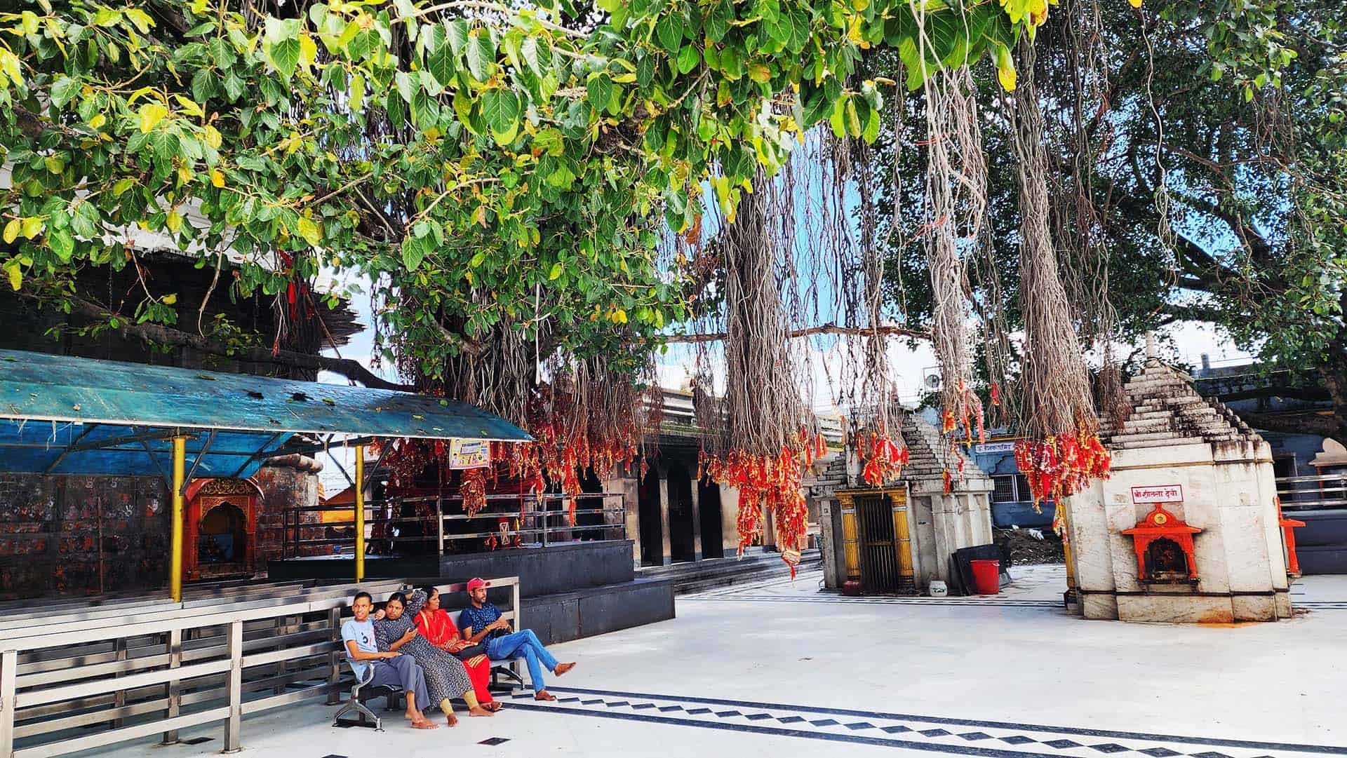 Inside the Temple – Tony's Tales
